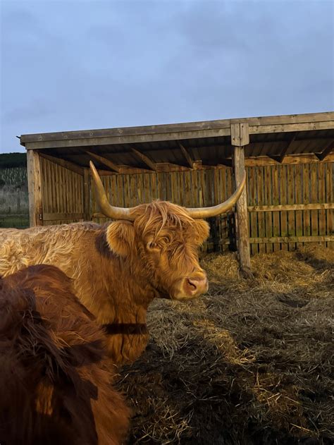 Édimbourg Et Les Highlands En Automne Par Romane