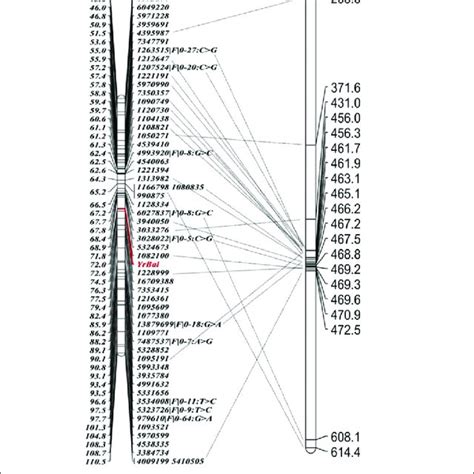 High Density Genetic Map A And Physical Position B Of The