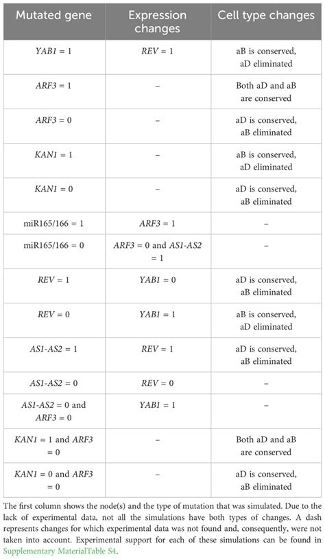 Frontiers A Gene Regulatory Network Model That Recovers The Abaxial Adaxial Polarity In