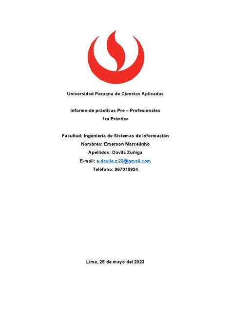 Informe De Prácticas Preprofesionales Pdf