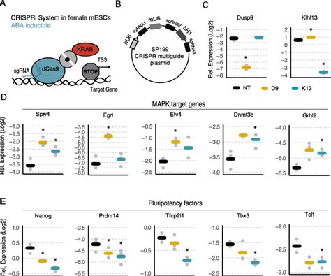 Identification Of X Chromosomal Genes That Drive Sex Differences In