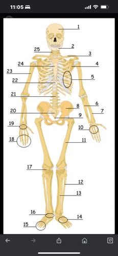 Unit Flashcards Flashcards Quizlet