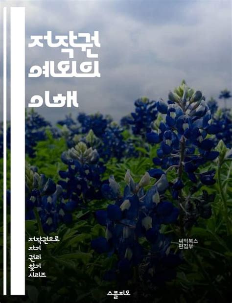 저작권 예외의 이해 저작권 예외 공정 사용 교육 연구 비영리 패러디 인용 미디어 저작물 저작권법 디지털 창작 창의성 법적 기준 저작권 보호