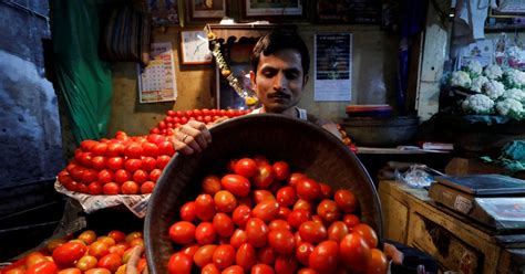 햄버거에서 토마토 뺀다인도에 무슨 일이
