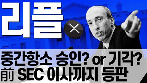 리플 전문가의 의견은 과연 Youtube