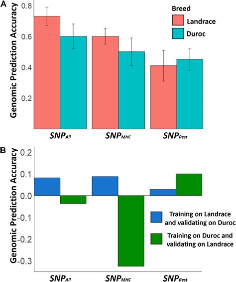 Frontiers Host Genetics Of Response To Porcine Reproductive And