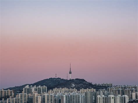 미러 박테리아mirror Bacteria