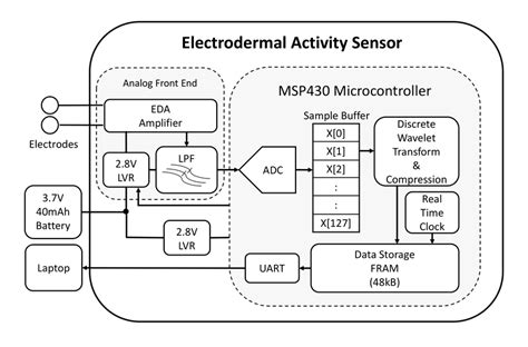 System Diagram Of Developed Electrodermal Activity Sensor ADC Download Scientific Diagram