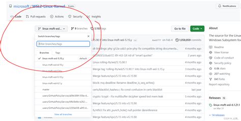 Wsl2内核版本和模块版本不一致解决方法microsoft Standard Wsl2 No Such File Or Directory