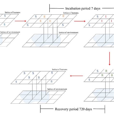 Schematic Illustration Of The Transition State Of The Stochastic