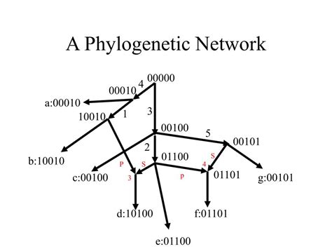 ppt erice structured pattern detection and exploitation powerpoint