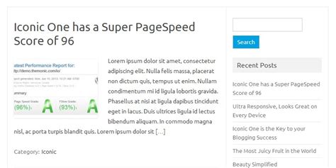 Iconic One Responsive Wordpress Theme Bypeople