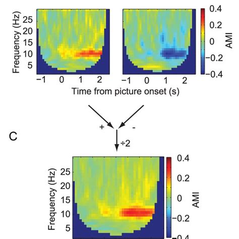 The Modulation Of Visual Oscillatory And Hemodynamic Brain Activity Download Scientific Diagram