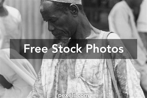 West African Catfish Photos Download The Best Free West African