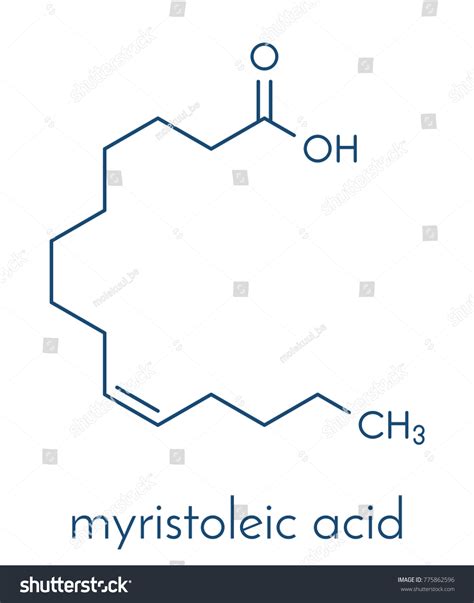 Myristoleic Acid Omega5 Fatty Acid Molecule Vector De Stock Libre De