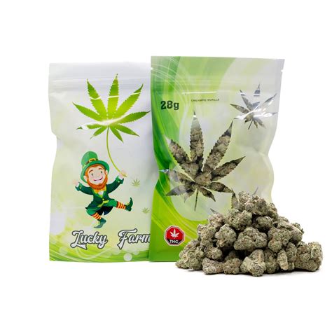 Lucky Farms Creampie Smalls Cheap Buds