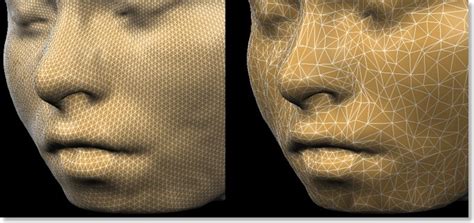 mesh reconstruction simplification and morphing brain innovation