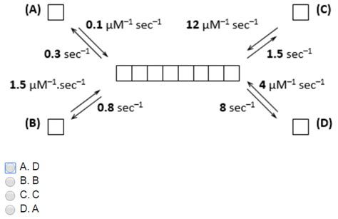 Solved Consider The Atp Bound And Adp Bound Forms Of Actin
