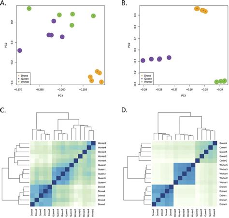 Principal Component Analysis Of The Mirna A And Mrna B Samples
