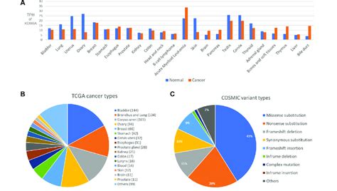 Kdm6a Tissue Specific Expression Profile And Cancer Somatic Mutation Download Scientific