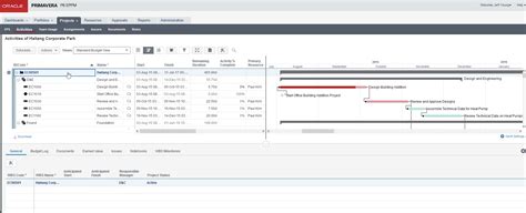 Exploring The Projects Tab In Primavera P6 Eppm Ten Six