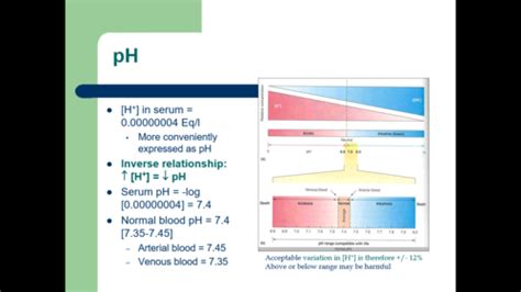 Acid Base Physiology Flashcards Quizlet