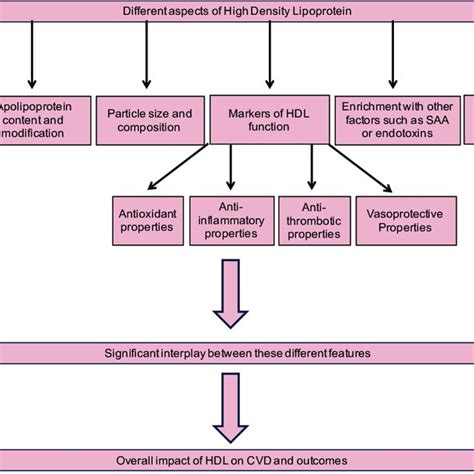 Significant Interplay Between Different Features Of Hdl With One Aspect Download Scientific