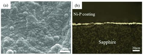 A Surface Morphology B Section Morphology Of Ni P Coating Download Scientific Diagram