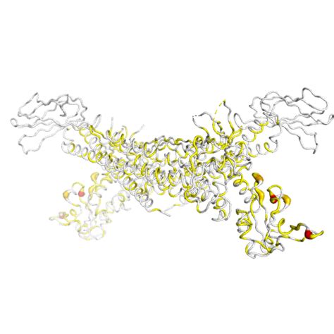 Stat3 Gene Somatic Mutations In Cancer