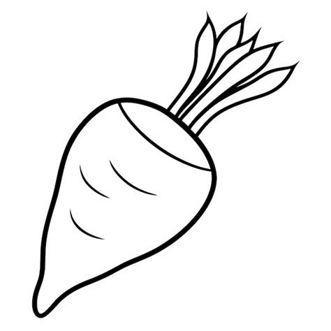Parsnip Line Art Vector Outline Premium Ai Generated Vector Parsnip Line Art Vector Outline Premium Ai Generated Vector