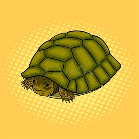 Turtle Hiding Shell Stock Illustrations 69 Turtle Hiding Shell Stock