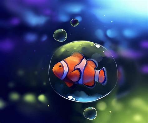 Clown Fish Wallpaper
