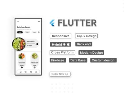 App Developer In Flutter Upwork