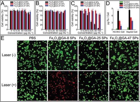 Ab Cell Viability Of Huvec Cells And Hepg2 Cells After Incubation