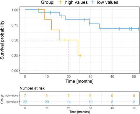 survival curves for the two risk groups generated by a split based on