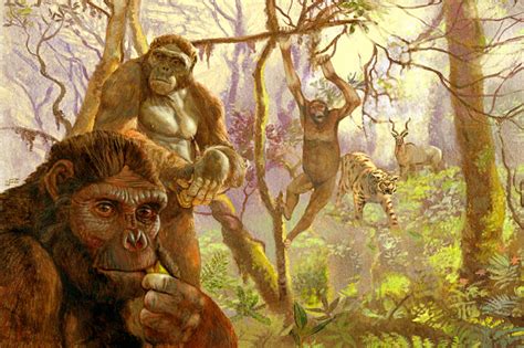 44 Million Year Old Ardipithecus Hand Reveals ‘big Evolutionary Jump