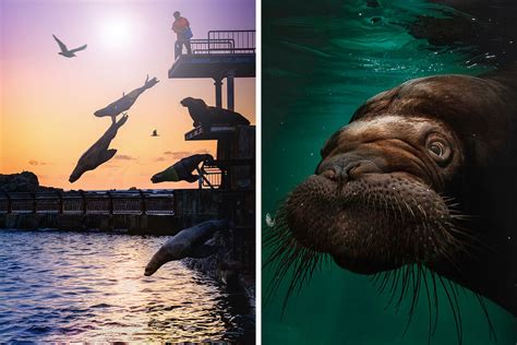 I’m An Animal Photographer, And Here Are The 20 New Portraits I Took At The Zoo | Bored Panda