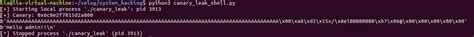 Stack Canary Mitigation Of Overflow