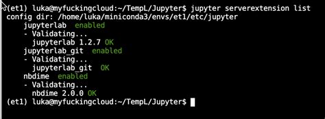 Conflict Dependencies Trying To Install On Jlab Issue Jupyterlab Jupyterlab