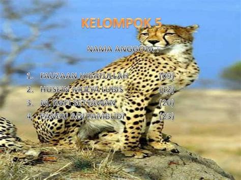 Bio Rad Variant Ii And Turbo Training Pdf