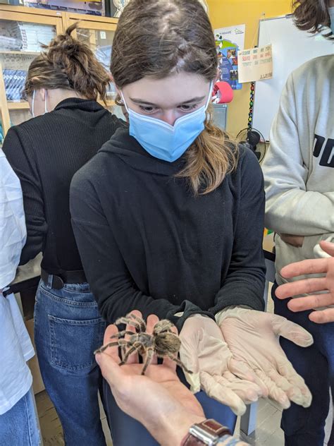 La Bibitte Mobile à La Rencontre Des élèves De Deuxième Secondaire École Secondaire De Rochebelle