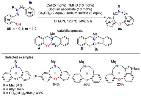 Synthesis Of Medium Sized Heterocycles By Transition Metal Catalyzed Intramolecular Cyclization