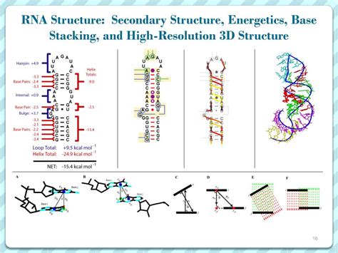 PPT Utilizing Comparative Analysis To Determine And Characterize The Higher Order Structure Of