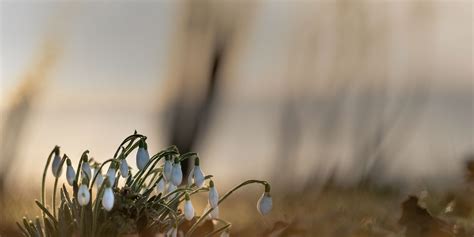 Transition Gtm Strategy To Value Based Selling Increasing Roi