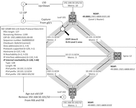 The Network Times VXLAN Underlay Routing Part II OSPF And IS IS From The VXLAN Network