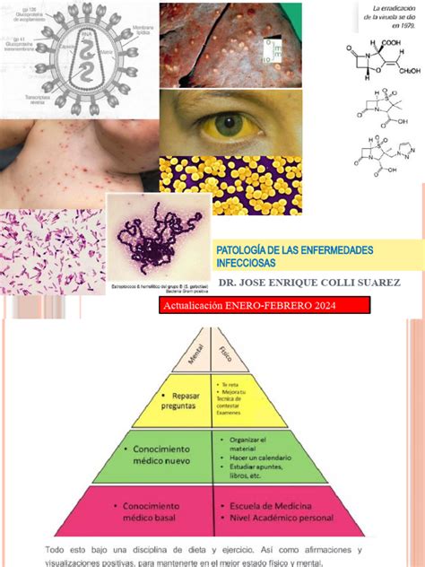 Patologia Infecciosa 1 2024jecs Pdf Septicemia Influenza