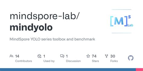 Issues · Mindspore Labmindyolo · Github