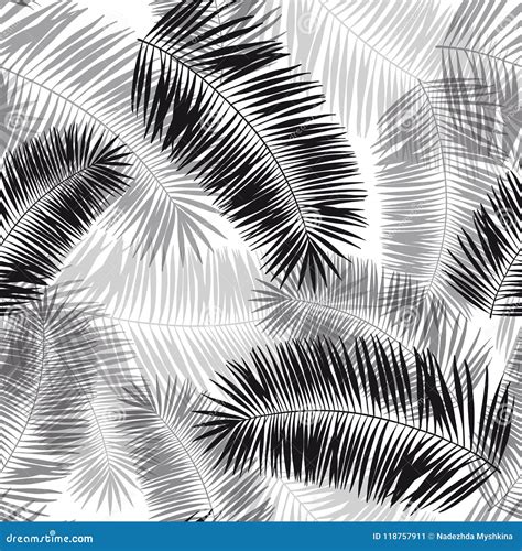 Black And Grey Palm Leaves Seamless Pattern Stock Vector Illustration