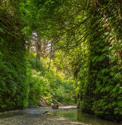 Top 7 Off The Beaten Path Adventures In Northern California Travel