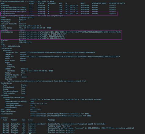 Static Ip To Pods In Minikube Using Calico Cni Stack Overflow